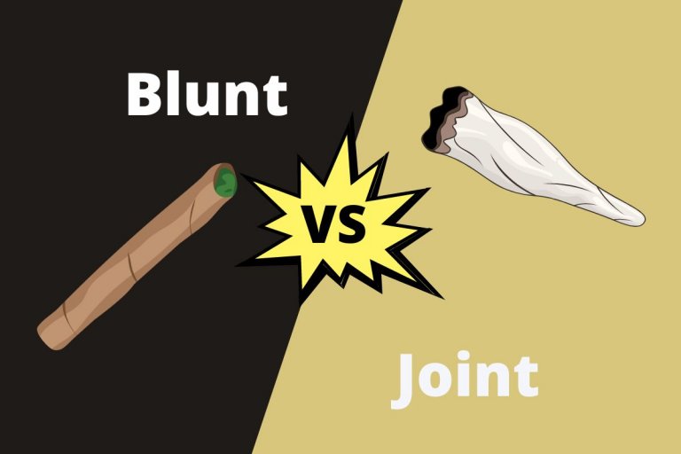 Difference Between Blunt And Joint | ContrastHub