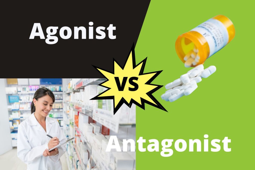 Agonist Vs Antagonist | ContrastHub